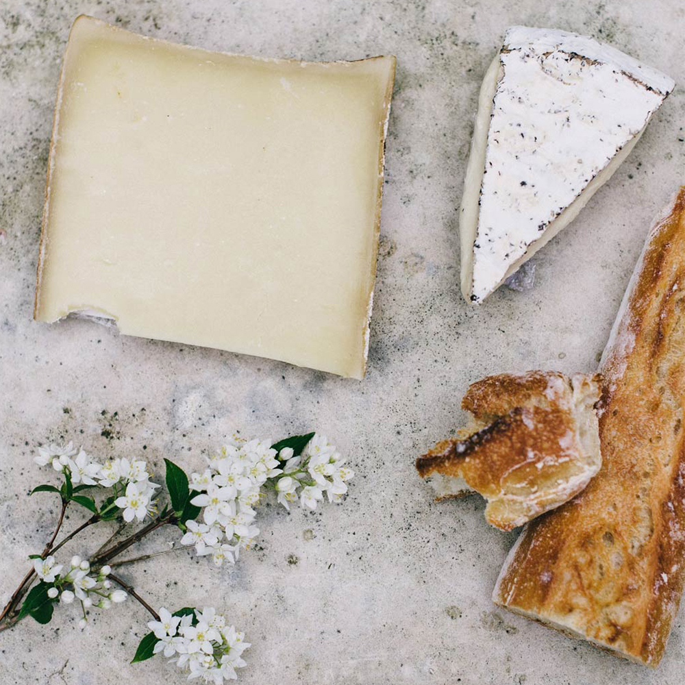 Queso Fine Artisan Cheese - Plan B Creative Brand Agency Birmingham